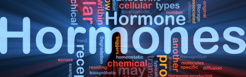BioTE Hormone Pellets Orlando | Bioidentical Hormone Replacement Orlando